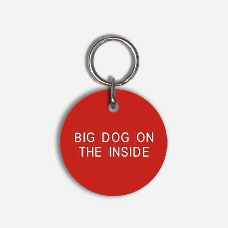 BIG DOG ON THE INSIDE Large Pet Tag – Various Keytags