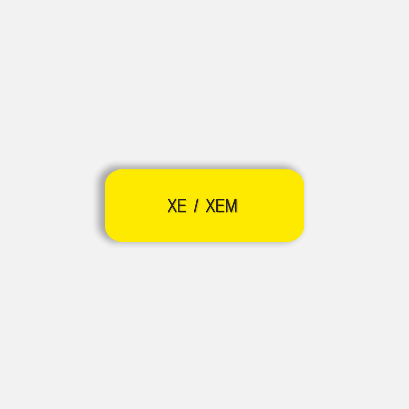 XE / XEM Pronoun Pin – Various Keytags